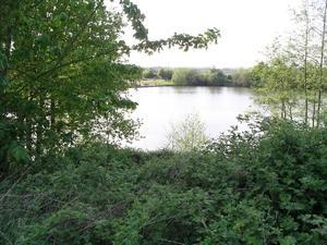 Ryton Pools Country Park - Parchi - Coventry