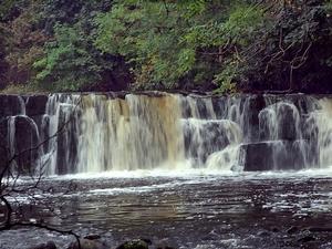 Linn Park - Parchi e giardini - Glasgow