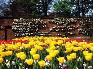 Croxteth Hall and Country Park - Parchi e giardini - Liverpool