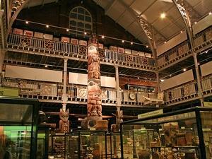Pitt Rivers Museum - Musei - Oxford